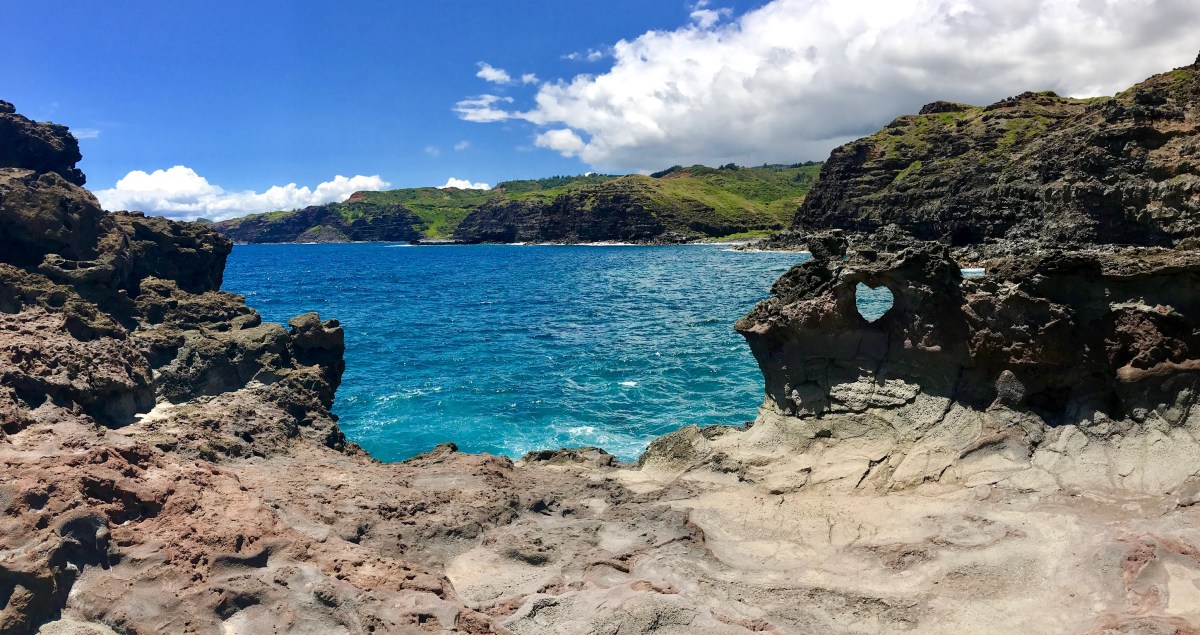Maui Wowee